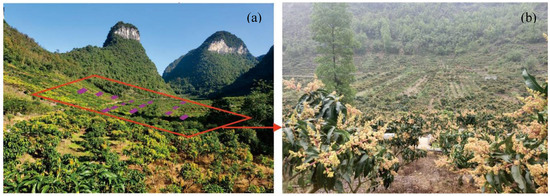 Land | Special Issue : New Insights in Soil Quality and Management in ...