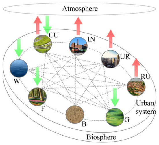 Carbon Metabolism in Urban “Production–Living–Ecological” Space Based on Ecological Network Analysis