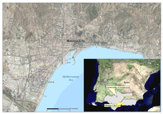 Land | Free Full-Text | Mapping the Risk of COVID-19 Contagion at Urban ...
