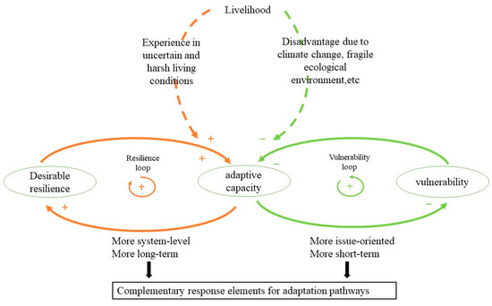 Understanding Sustainable Livelihoods with a Framework Linking ...