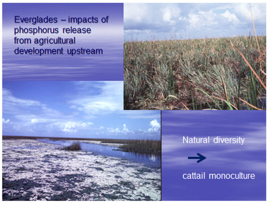 Land | Free Full-Text | The Wetlands Paradigm Shift in Response to ...