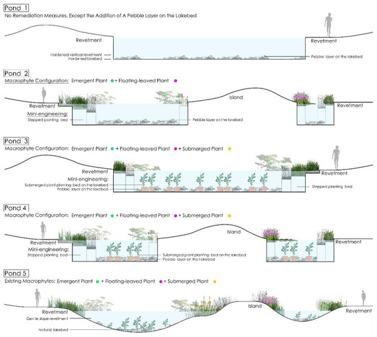 Self-Purification Mode of Still-Water Ponds in Urban Parks Based on In ...
