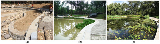 Self-Purification Mode of Still-Water Ponds in Urban Parks Based on In ...