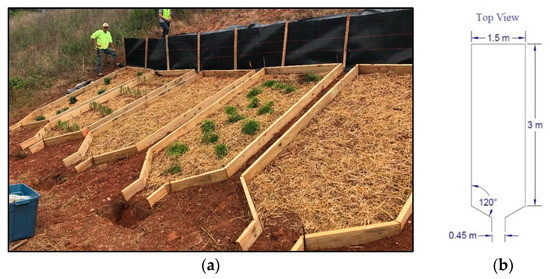 Comparison of Vegetation Types for Prevention of Erosion and Shallow ...