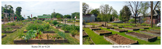 Attitudes and Perceptions of Community Gardens: Making a Place for Them ...