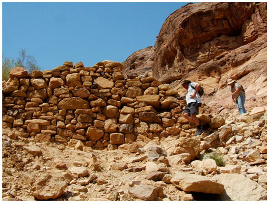 The Emergence of Terrace Farming in the Arid Zone of the Levant—Past ...