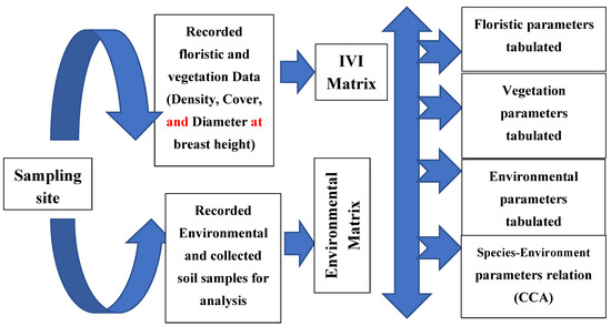 Spatial Pattern and Key Environmental Determinants of Vegetation in ...