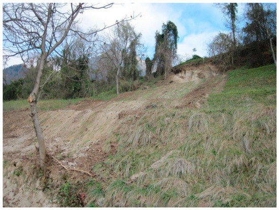Analysis of landslide Susceptibility and Tree Felling Due to an Extreme ...
