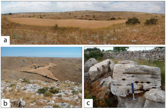 Land | Free Full-Text | Assessing Karst Landscape Degradation: A Case ...