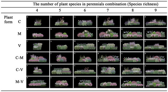 Designing Perennial Landscapes: Plant Form and Species Richness ...