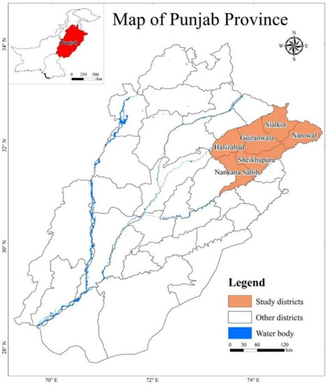Contract Farming and Technical Efficiency: A Case of Export-Oriented ...