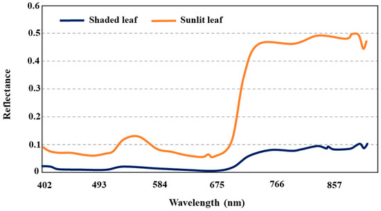 The Shadow Effect on Surface Biophysical Variables Derived from Remote ...