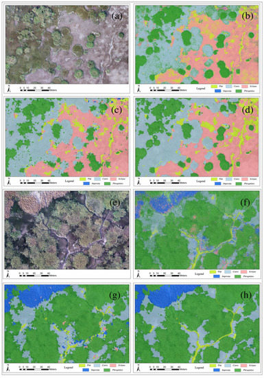 Coastal Wetland Vegetation Classification Using Pixel Based Object Based And Deep Learning