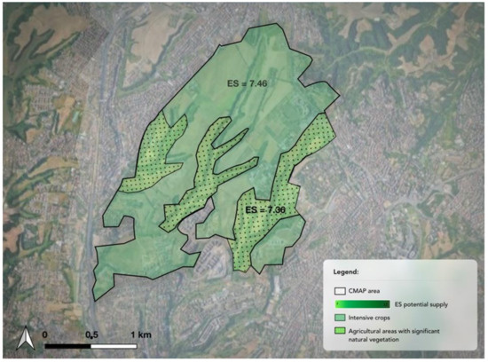 Integrated Multi-Level Assessment of Ecosystem Services (ES): The Case ...