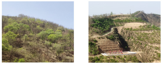 Stakeholders’ Perceptions towards Land Restoration and Its Impacts on ...