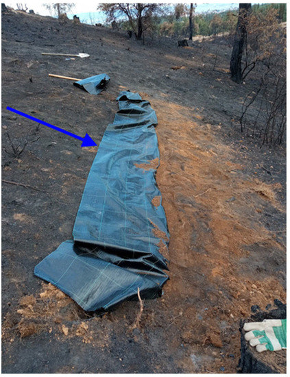 Check-Dams and Silt Fences: Cost-Effective Methods to Monitor Soil ...