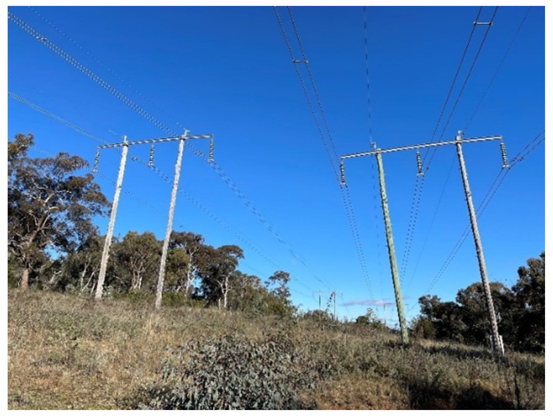 What Is the Future of the Bush Capital? A Socio-Ecological Approach to ...