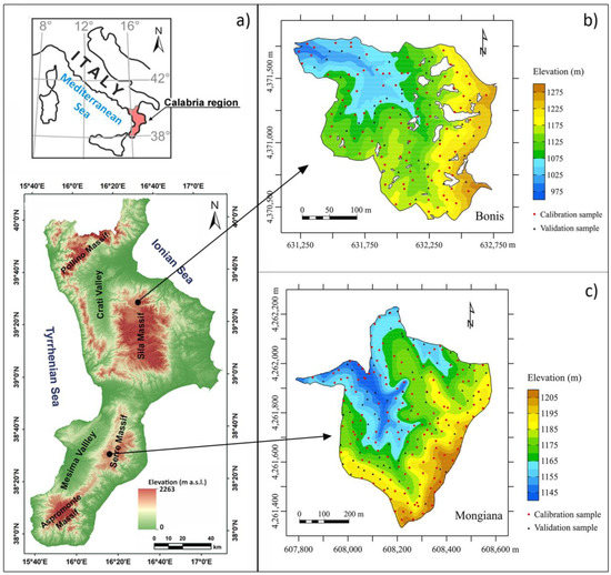Insights into the Effects of Study Area Size and Soil Sampling Density ...
