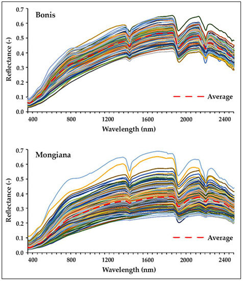 Insights into the Effects of Study Area Size and Soil Sampling Density in the Prediction of Soil ...