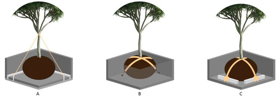 Trees on Buildings: A Tree Selection Framework Based on Industry Best ...