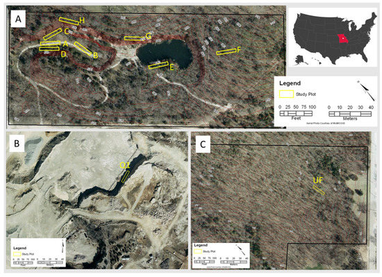 Plant Community, Soil and Microclimate Attributes after 70 Years of ...