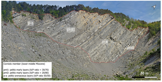 Contribution of High-Resolution Virtual Outcrop Models for the ...