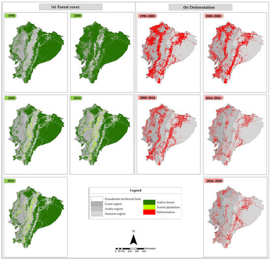 A Critical Review on the Perspectives of the Forestry Sector in Ecuador