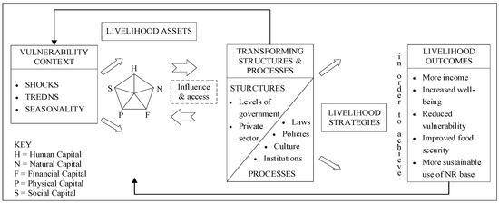 Determinants of Smallholder Farmers’ Income-Generating Activities in Rubber Monoculture ...