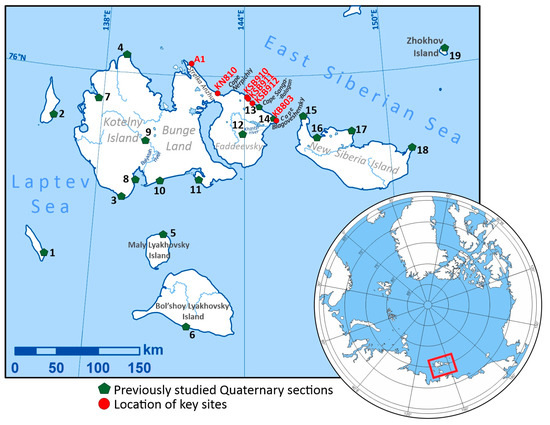 Land | Free Full-Text | Geochemical Features of Ground Ice from the ...