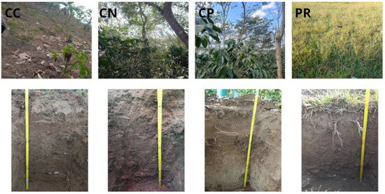 Low Cost and Easy to Implement Physical and Hydrological Soil ...