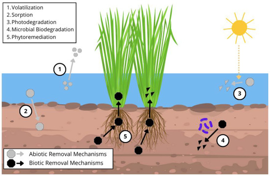 Wetland Removal Mechanisms for Emerging Contaminants