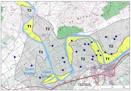 Comparative Analysis of Animal-Powered Waterwheels in Mediterranean ...