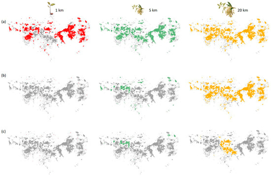 Estimating Fragmentation and Connectivity Patterns of the Temperate ...