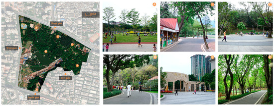 Identifying Park Spatial Characteristics That Encourage Moderate-to ...