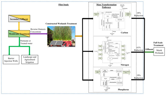 Constructed Wetlands Using Treated Membrane Concentrate for Coastal ...