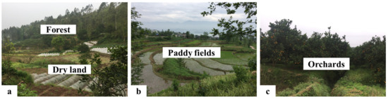 The Role of Paddy Fields in the Sediment of a Small Agricultural ...