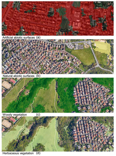 Land | Free Full-Text | Land Cover Mapping with Convolutional Neural ...
