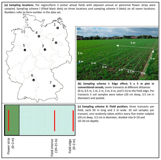 Weed Seed Banks in Intensive Farmland and the Influence of Tillage ...