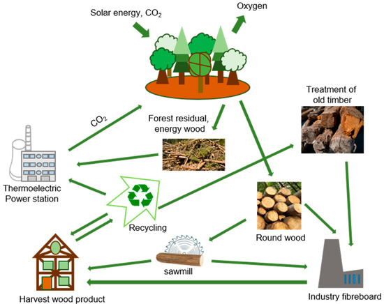 Land | Free Full-Text | In-between Environmental Sustainability and ...