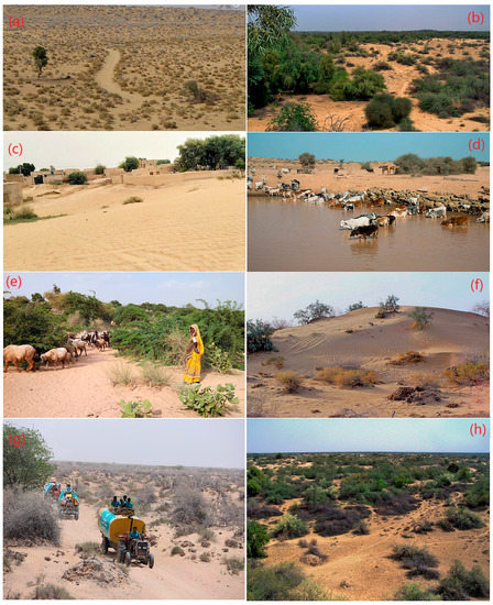Estimating Advance of Built-Up Area in Desert-Oasis Ecotone of Cholistan Desert Using Landsat