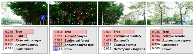 Establishing a Reliable Assessment of the Green View Index Based on Image Classification ...