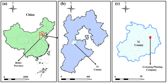 Integrating Energy Systems Language and Emergy Approach to Simulate and ...