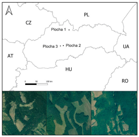 Identification of the Forest Cover Growth on Landscape Level from ...