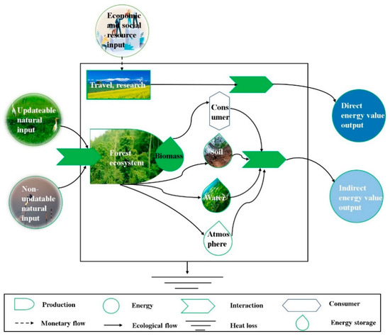 Review of Valuation of Forest Ecosystem Services and Realization ...