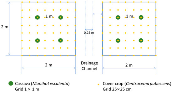 Post-Tin-Mining Agricultural Soil Regeneration Using Local Organic ...