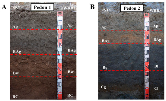 Comparison of Soil Taxonomy (2022) and WRB (2022) Systems for ...