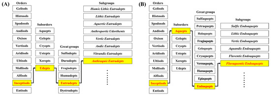 Comparison of Soil Taxonomy (2022) and WRB (2022) Systems for ...