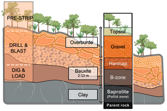 Soil Characteristics and Fertility of the Unique Jarrah Forest of Southwestern Australia, with ...