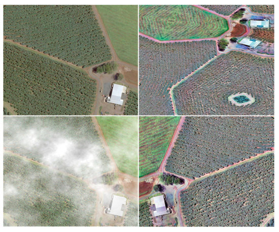 Pre-Processing Training Data Improves Accuracy and Generalisability of ...