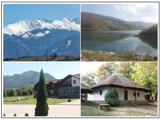 Land | Free Full-Text | Sustainable Rural Development through Local ...